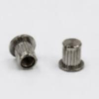 China SS304 Stainless Steel Ribbed Anti-Twist Rivet Nut for Switchgear Cabinet Fastening Solution for sale