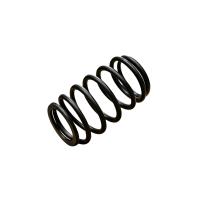 China Oval Compression Spring 0.2-8.0mm Stainless Steel Industrial OEM for Machinery and Automotive for sale