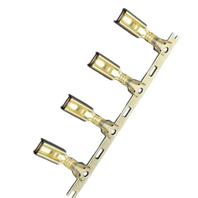 China 6.3mm Continuous Strip Female Quick Disconnect Terminal with Gold-Plated Surface for Automated Crimping for sale