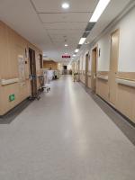 China Hygienic Corner Guard Hospital Wall Protection Rails Corridor ODM for sale