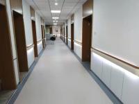 China OEM Crashproof Medical Hospital Corridor Handrail Wall Guard 1.4mm for sale