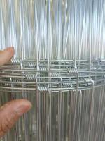 China 1.8m width Grassland Wire Mesh Making Machine for Cattle Fence/Horse Fence/Deer Fence for sale