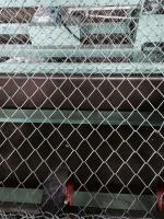 China High Speed PLC control Full Automatic double wire Chain Link Fence Machine for Diamond Mesh for sale