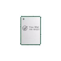 China Best Selling cheap Gps Module real Time Gps Module Gps Gnss YW-1612Z1 for travel for sale