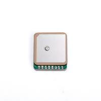 China High Performance Accurate Portable Gps Tracker For Dogs And Bracelet for sale