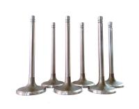 China New  3306 Engine Parts Exhaust Valve Intake valve 6N-9916 6N-9915 Silver Set for sale