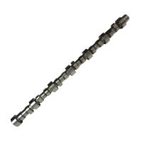 China Diesel Engine 6L QSL8.9 Camshaft Parts 3976620 For Cummins for sale