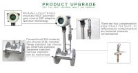 China FIMEET LUGB LUGB-DN125 Vortex Flow Meter Vortex Steam Flow Meter for sale