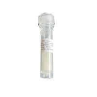 China CEA Real Time PCR Kits High Accuracy 25 Vials Sample For Tumor Detection for sale
