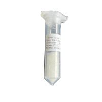 China High Sensitivity PSA Rapid Test Kits POCT IVD Tumor Marker Detection for sale