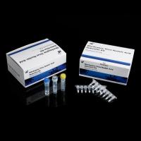 China Monkeypox PCR Fluorescence Probe Test Kit 48 Tests 96 Tests CE Certified for sale