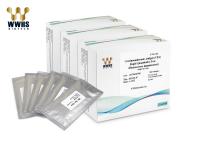 China WWHS CEA Rapid Quantitative Test POCT Diagnostic Reagent Cassette 20T for sale