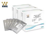 China SARS-CoV-2 IgM IgG Antibody Rapid Test Kit 25 Tests Fluorescence Immunoassay for sale