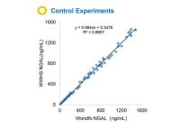 China WWHS NGAL Diagnostic Kit for Neutrophil Gelatinase-Associated Lipocalin 10-1500ng/mL Urine Test for sale