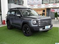 China 2024 GWM Haval Raptor HI4 Hybrid SUV EV The Ideal Used Ride-On Car for Your B2B Needs for sale