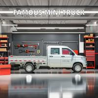 China ESC Yes 2024 Wuling Rongguang Mini Truck Manual Gear Box for Bulk Cargo Transportation for sale