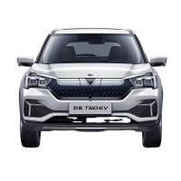 China Clearance Sale 2023 Dongfeng Qichen T60EV Electric Car with TPMS and Touch Screen for sale