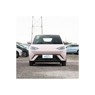 China 305Km Range Compact Electric Car BYD 2024 Glory Version with Pure Electric Capability for sale
