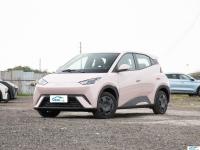 China 305Km Range Compact Electric Car BYD 2024 Glory Version with Pure Electric Capability for sale