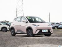 China 305Km Range Compact Electric Car BYD 2024 Glory Version with Pure Electric Capability for sale