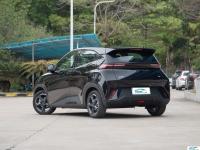 China Seagull -2024 Glory Version 305Km Flying Version Electric Car For Byd The Best Choice for sale