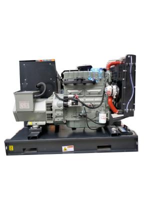 China 20kW Ricardo Diesel Powered Generator 18kW 23kVA Home Backup Use for sale