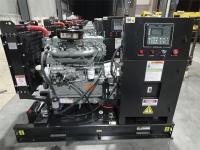 China 43kVA Ricardo Diesel Generators 220 / 230 / 240 / 380 / 400 / 415V for sale
