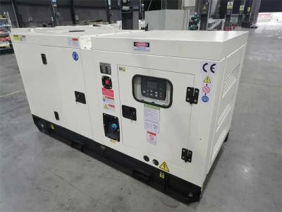 China Fuel Type Yangdong Electric Start Diesel Generator Prime Power 20kVA for sale