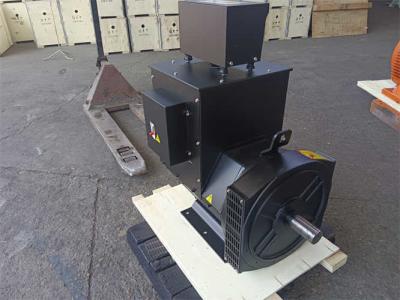 China 50HZ Single Phase 100% Copper Winding Double Bearing AC Alternators for sale