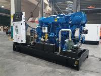 China 193kva Marine Diesel Generator Powered By Weichai Engine For Sailboats for sale