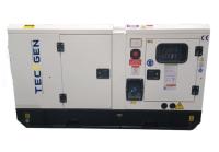 China 40KW 50KVA Generator Ricardo Brushless Alternator Type With Digital Controller TG6120N for sale