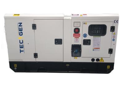 China 40KW 50KVA Generator Ricardo Brushless Alternator Type With Digital Controller TG6120N for sale
