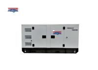 China 60Hz Diesel Generator Set Max 25kVA Yangdong Generator With 4 Cylinder Water Cooled Engine for sale