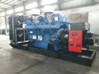 China Standby 1000kVA Chinese Diesel Genset Yuchai Generators For Backup Power Solution for sale