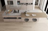 China Custom Stainless Steel Modular Kitchen Cabinet Sets with 20mm Quartz Countertop and 30-40 Day Delivery for sale