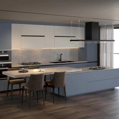 China Custom Stainless Steel Kitchen Cabinets with 20mm Quartz Countertop and 30-40 Day Delivery for sale