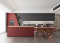 China Custom Stainless Steel Kitchen Cabinets with 20mm Quartz Countertop and 30-40 Day Delivery for sale