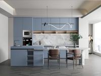 China Stainless Steel Kitchen Cabinets with 20mm Quartz Countertop - Custom Design 30-40 Day Delivery for sale