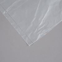 China HDPE Material Plastic Flat Bags 18