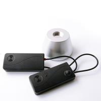 China Dual or Triple Alarming Security Tag with Lanyard 58kHz 8.2MHz 100dB for sale
