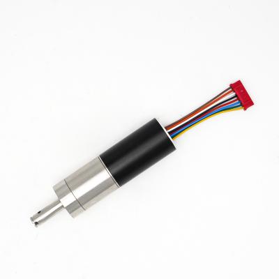 China 22P2232 Coreless Bldc Planetary Gear Motor for Medical Equipment for sale