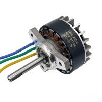 China 21V 650W 6000RPM DC Brushless Motor External Rotor BLDC Motor for Lawn Mower with Customizable Driver for sale