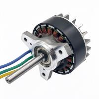 China 21V 650W 6000RPM DC Brushless Motor External Rotor BLDC Motor for Lawn Mower with Customizable Driver for sale