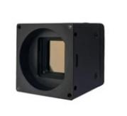 China FW-RJ04 Uncooled Infrared Thermal Camera with 12μm Pixel Pitch, 640×512 Resolution and NETD ≤40mk@25℃ for Precise Detection for sale