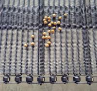 China 304 Stainless Steel Wire Conveyor Belt Mesh 0.8-2.5mm Wire Diameter for Dryer Furnace and Industrial Applications for sale