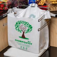 China Custom printed Certified Compostable Biodegradable plastic Carry Bags for sale