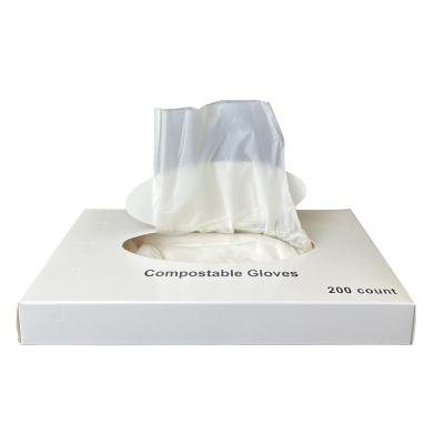 China 100% Compostable Gloves, Disposable and Latex-Free Disposable gloves for food and beverage service, gloves for food preparation and cooking, environmentally friendly. for sale