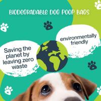 China Custom Corn Starch Based Biodegradable Eco Friendly Outdoor Pet Dog Poop Waste Bag for sale