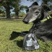 China Eco Friendly 100 Biodegradable Dog Waste Poop Bags Custom Printed With Handles Scented for sale