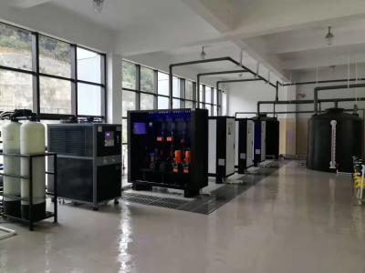 China Onsite Automatic Sodium Hypochlorite Generator For Water Plant 2000L/h for sale